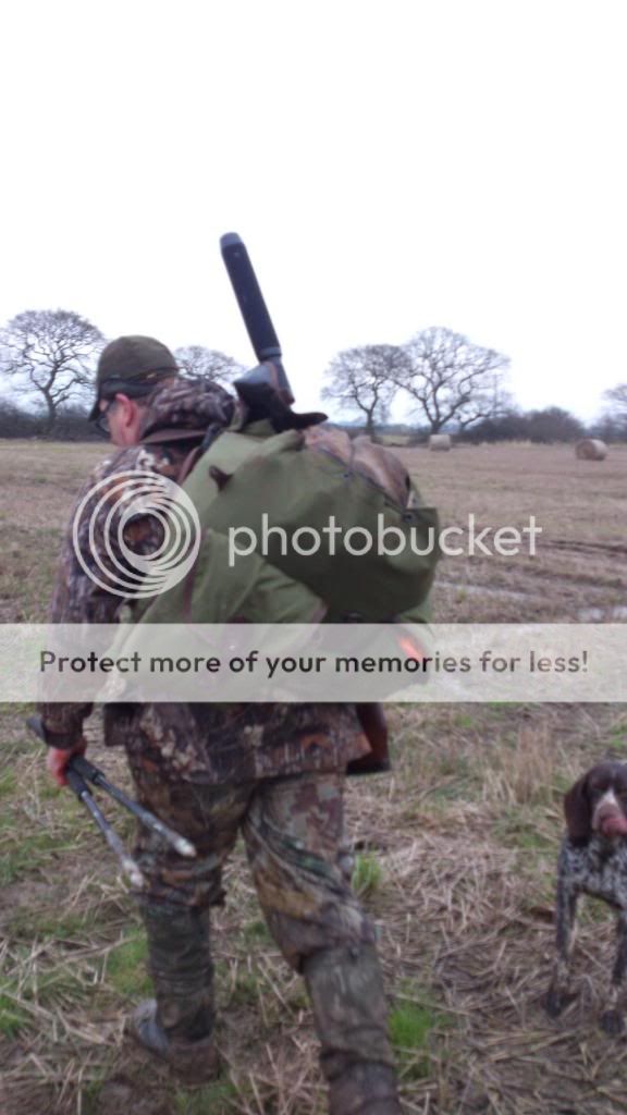 Monarch roe sack. | The Stalking Directory